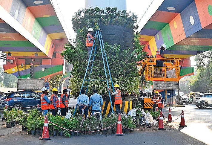 In a first, metro flyover pillar in Ahmedabad gets a green makeover ...