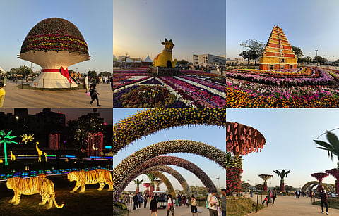 Ahmedabad International Flower Show 2025 extended till Jan 26 after ...