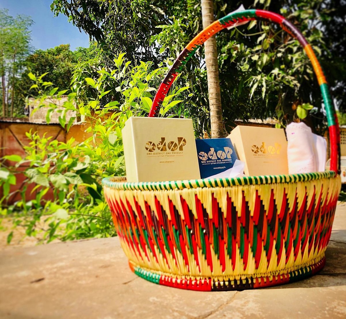 Students from UP to help improve products under ODOP scheme with the ...