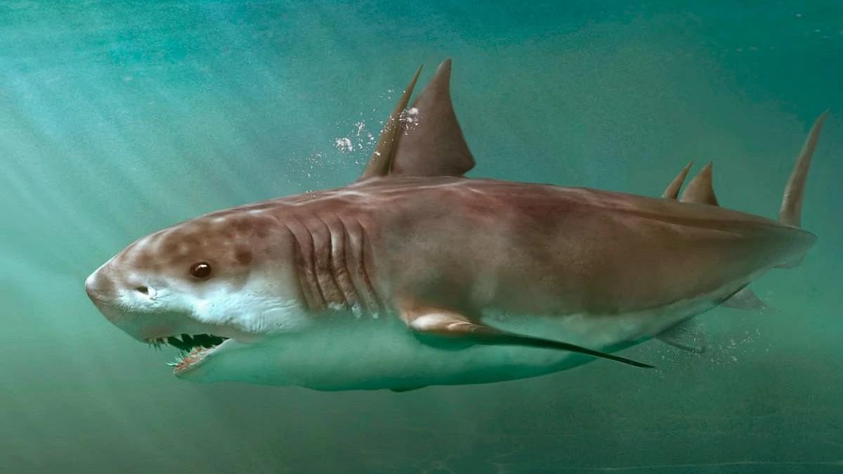 Jaipur geologists discover a new species of hybodont shark from the ...