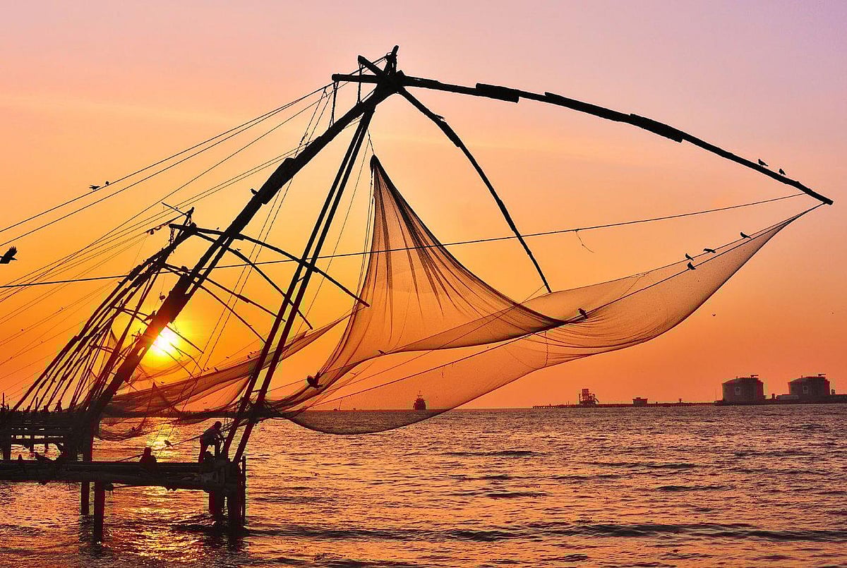 Goa's Wetlands & rivers are home to over 80 fish species, say experts