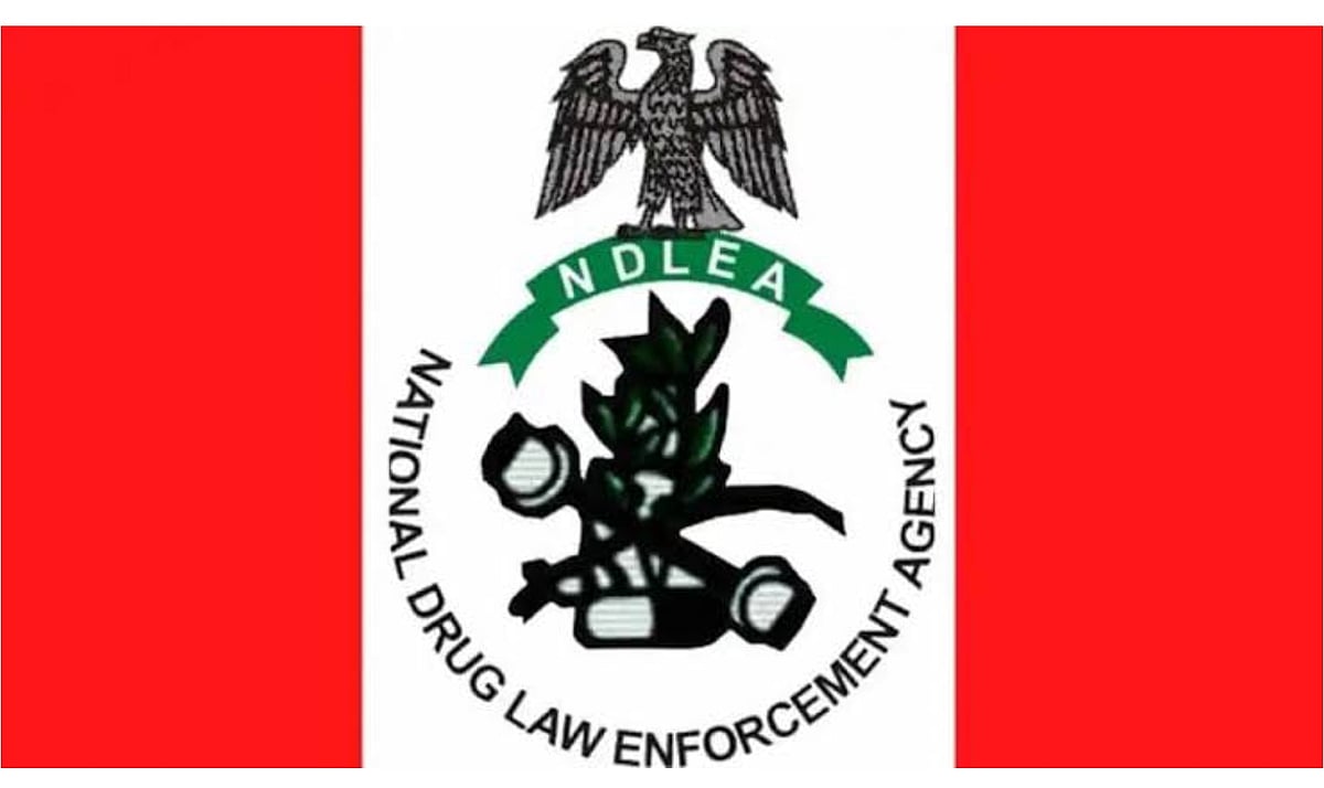 Kano NDLEA Destroys 15.7 Tonnes of Drugs in Three Years