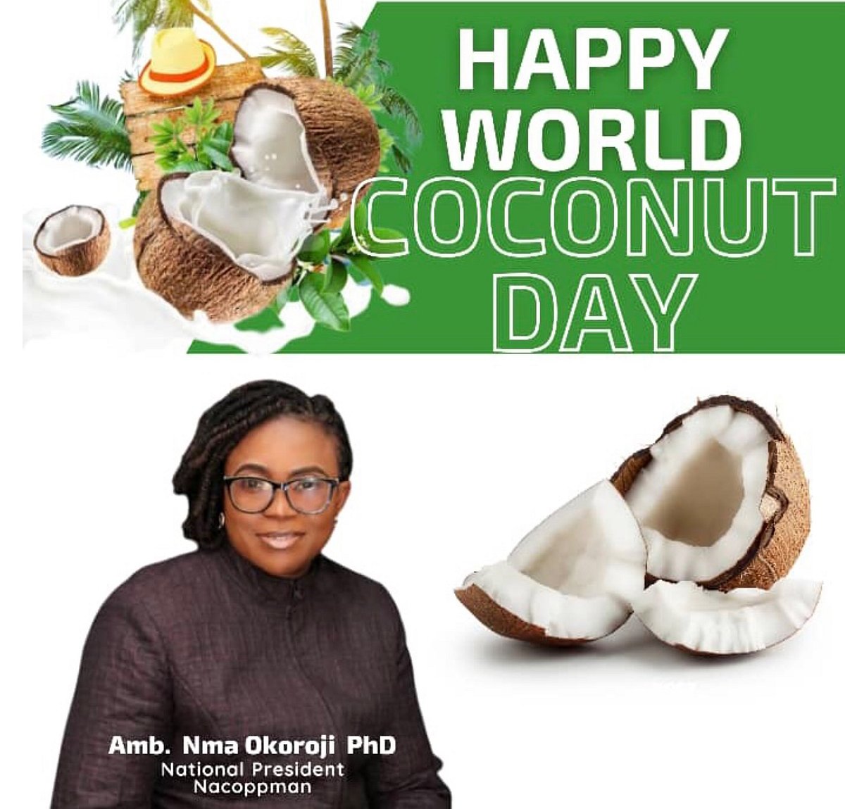 Coconut Day: Group Advocates Planting 10,000 Hectares of Coconuts