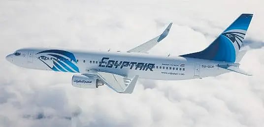 NIDCOM petitions Egyptair over Remilekun's death, Seek Justice