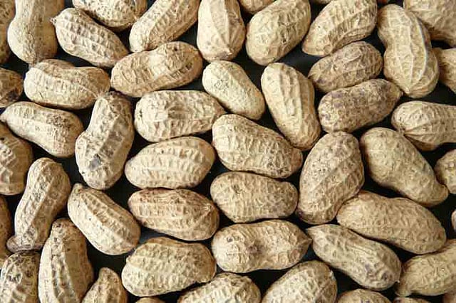 भुईमुगाच्या शेंगा खाण्याचे फायदे जाणून घ्या