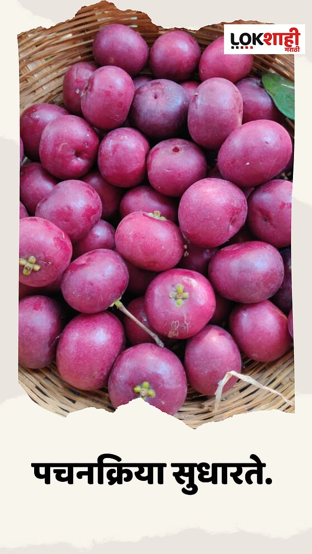 कोकणातील रतांबा फळ आहे आरोग्यासाठी फायदेशीर; जाणून घ्या फायदे