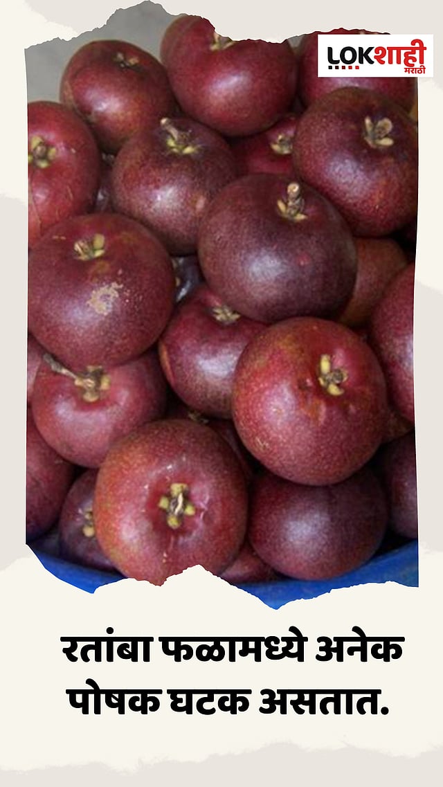 कोकणातील रतांबा फळ आहे आरोग्यासाठी फायदेशीर; जाणून घ्या फायदे