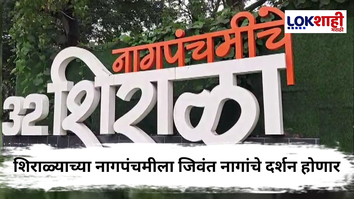 बत्तीस शिराळा: नागपंचमीला जिवंत नागांचे दर्शन होणार