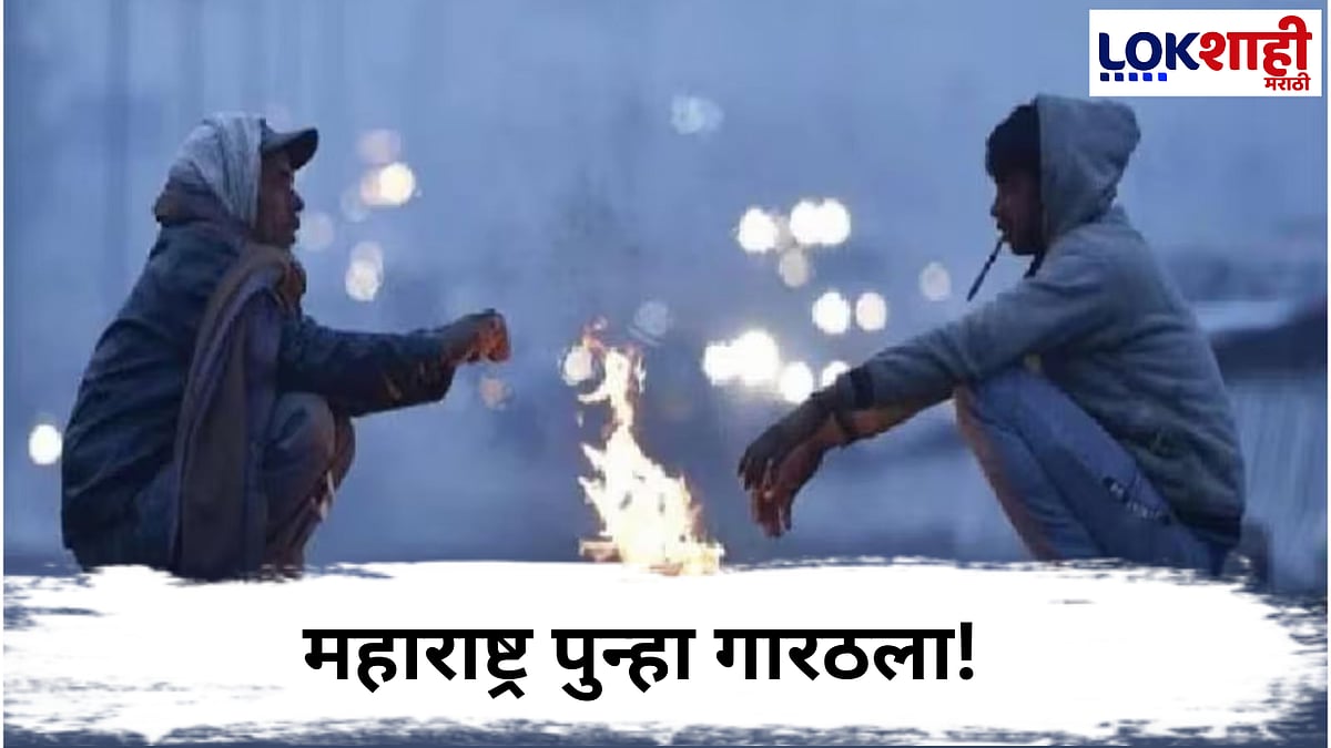 Cold Wave : कडाक्याची थंडी परतणार; राज्यात थंडीच्या लाटेचा इशारा