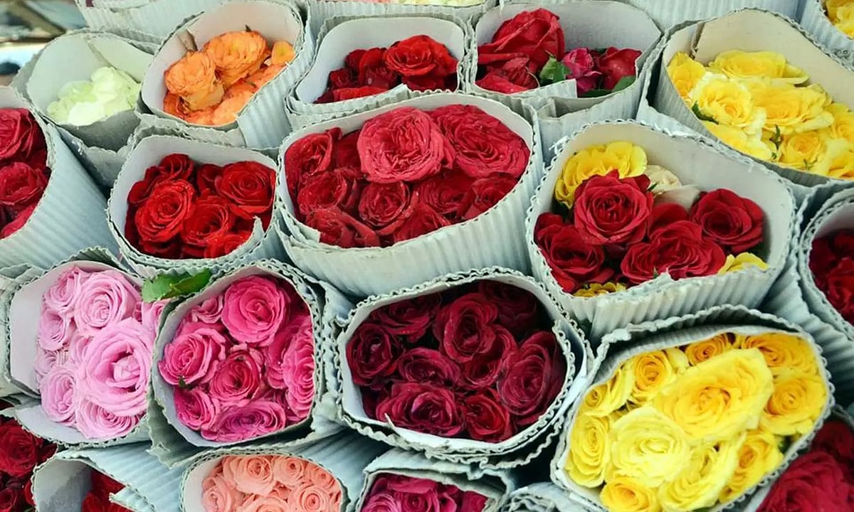 காதலர் தினம் உற்சாகமாக கொண்டாட்டம்- மும்பை வழியாக வெளிநாடுகளுக்கு ...