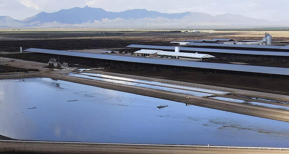 Arizona Weighs Groundwater Limits on Saudi-Owned Fondomonte Dairy