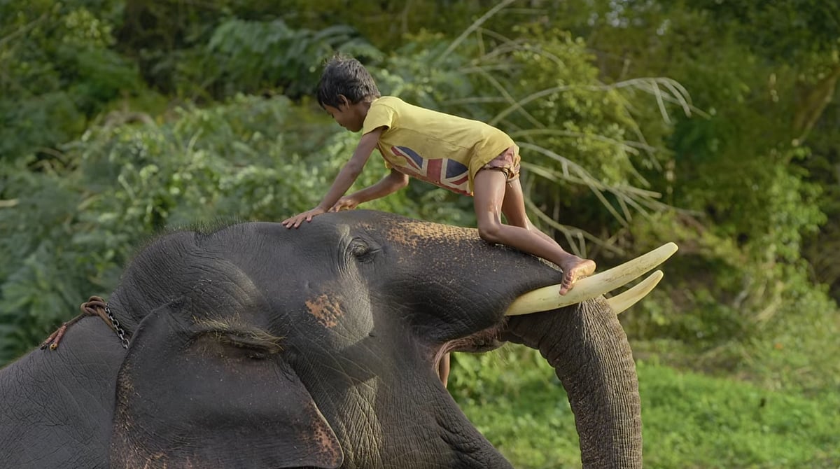 Impactful Indian documentaries that are worth the watch