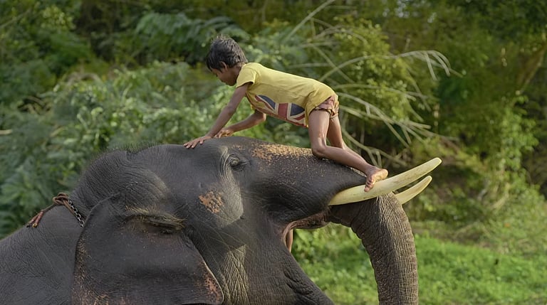 Top 5 Impactful Indian Documentaries You Must Watch