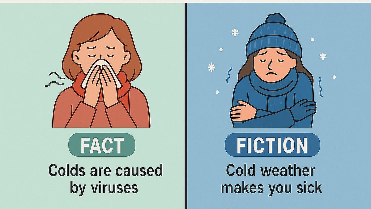 Fact vs. Fiction: Can You Catch a Cold from Being Cold?