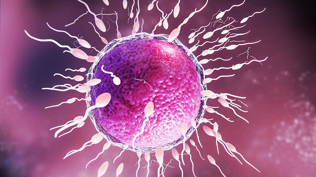 Sperm Donor Passed Rare Cancer Gene to 10 Children