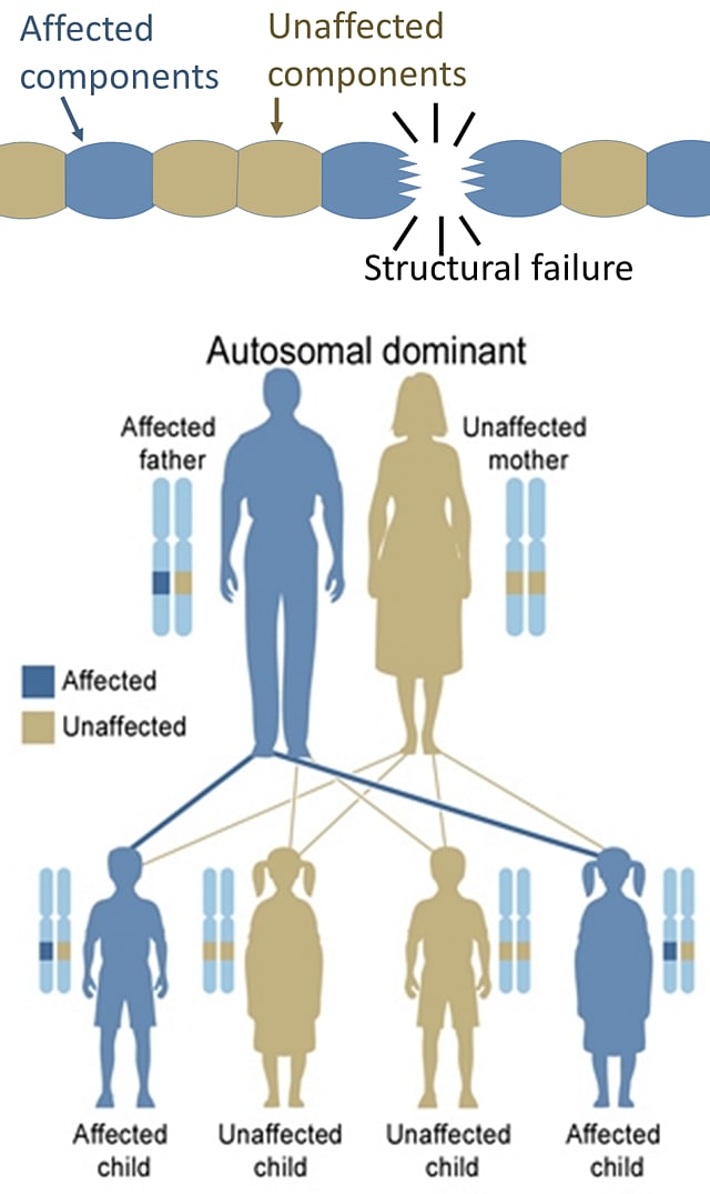 Fatal Familial Insomnia: Silvano’s Story That Prevents Sleep