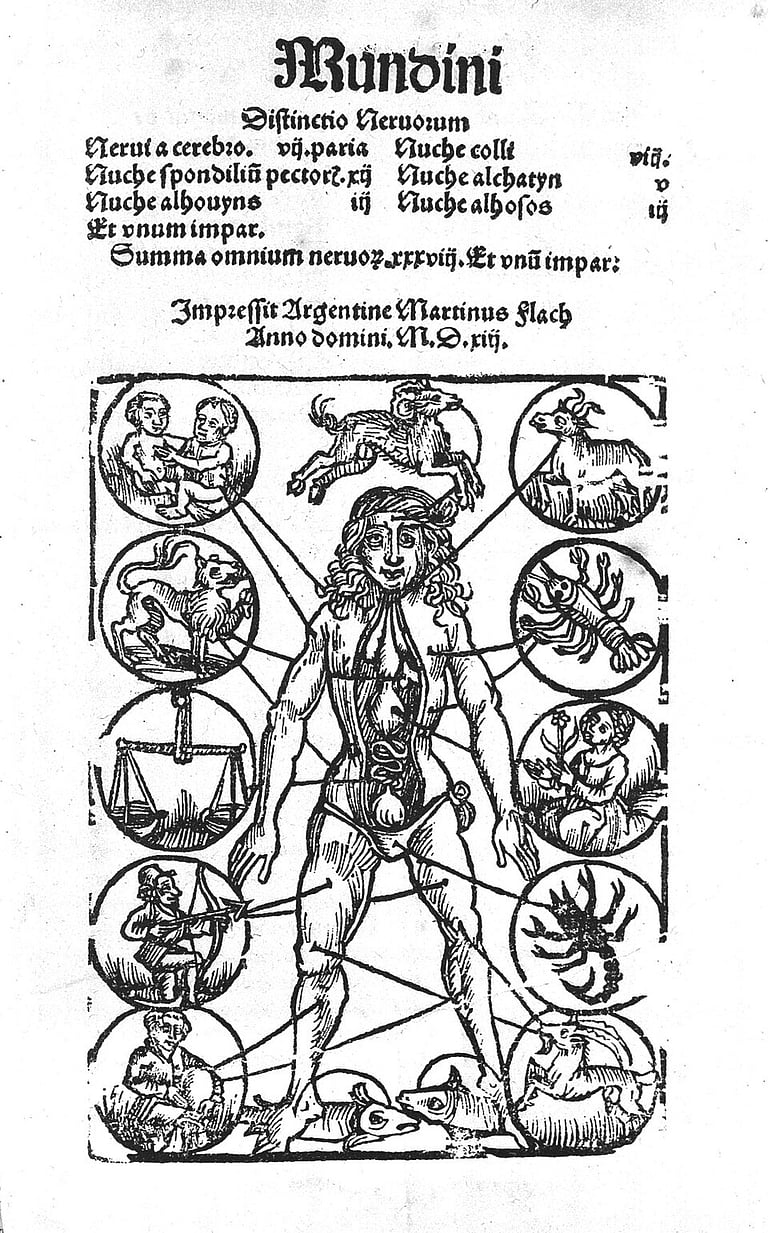Mondino de’ Liuzzi and the First Public Human Dissection (1315)
