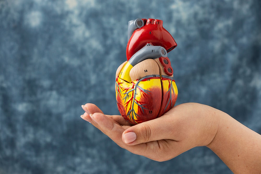 Big Heart Explained: Causes, Risks & Treatment Options