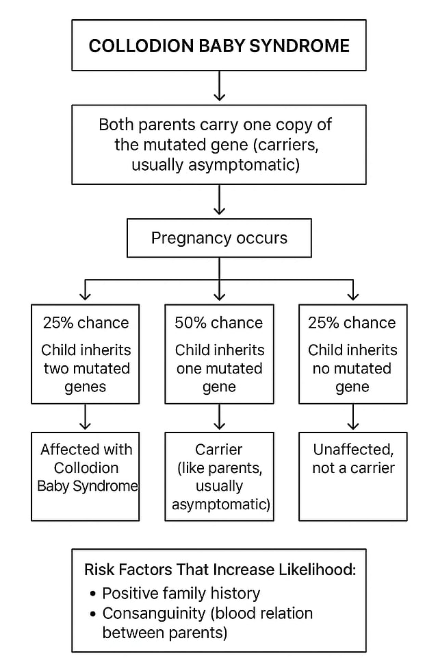 Collodion Baby Syndrome: Causes, Diagnosis, and Treatment