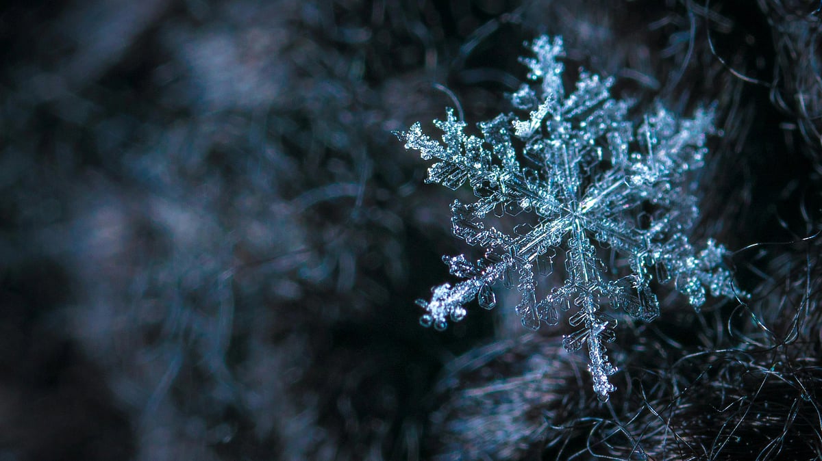 4 Research-Backed Ways to Beat the Winter Blues