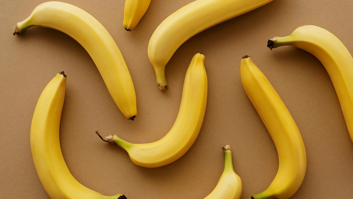 How Radioactive Are Bananas? Nuclear Engineer Explains the Banana Dose