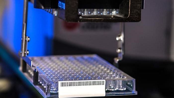 Study: Surprise Anticancer Properties of Common Lab Molecule