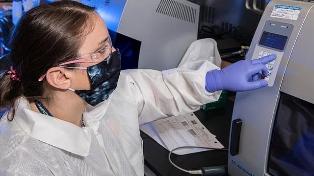 The story behind CRISPR Cas9 - a string of discoveries