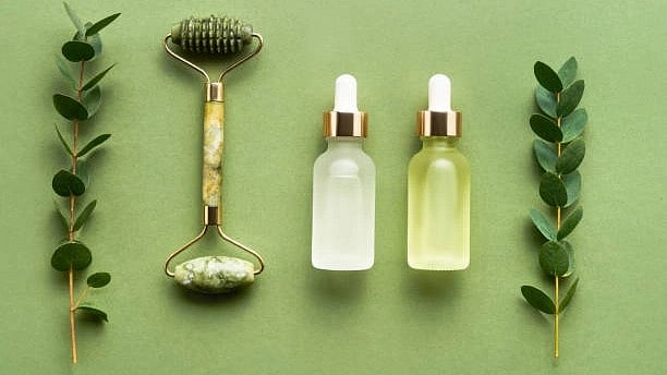 Ethical issues using the Cochineal Insects in cosmetics and food as a ...