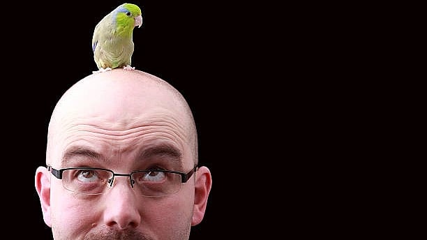 Bird neurons use three times less glucose than mammalian neurons