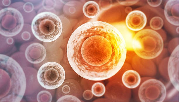 Providing ‘quality assurance’ for new stem cells