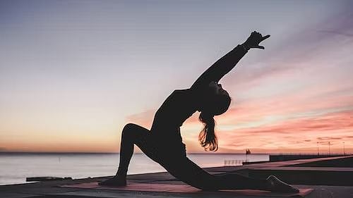 Exercise and obesity have opposite impact on muscle, fat tissues