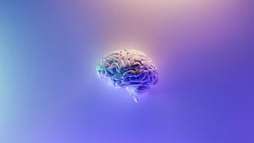 Brain Where RNA Is Edited Help to Understand Neurodevelopment