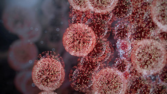 Stunningly detailed blueprint revealed of viral genome replication ...