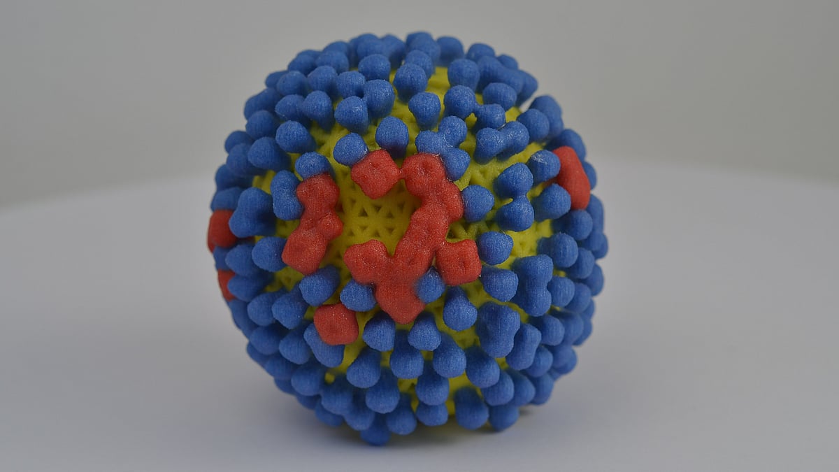 The Achilles Heel of the Influenza Virus: Ubiquitin Protein may be an ...