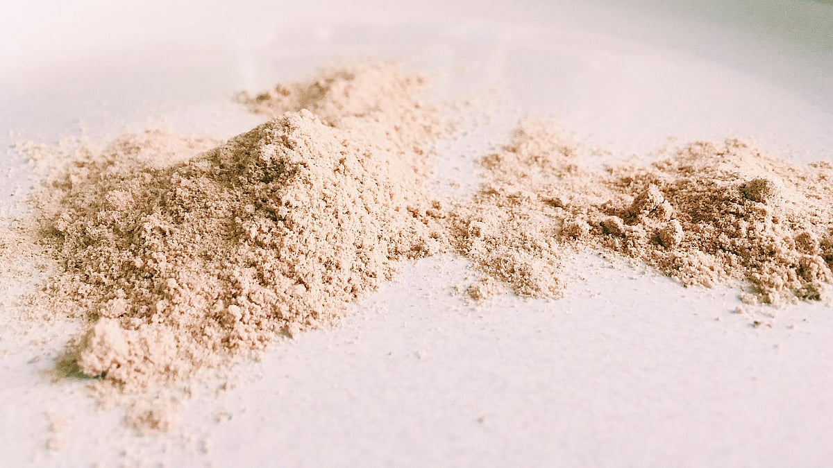 Psyllium Fiber Protects Against Colitis by Activating Bile Acid Sensor ...