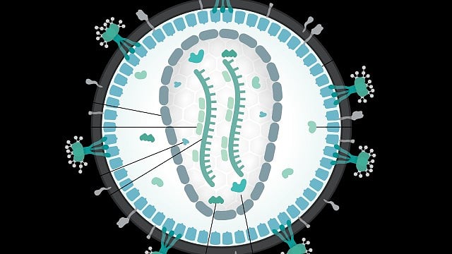Australian Researchers Announce HIV Infection Breakthrough