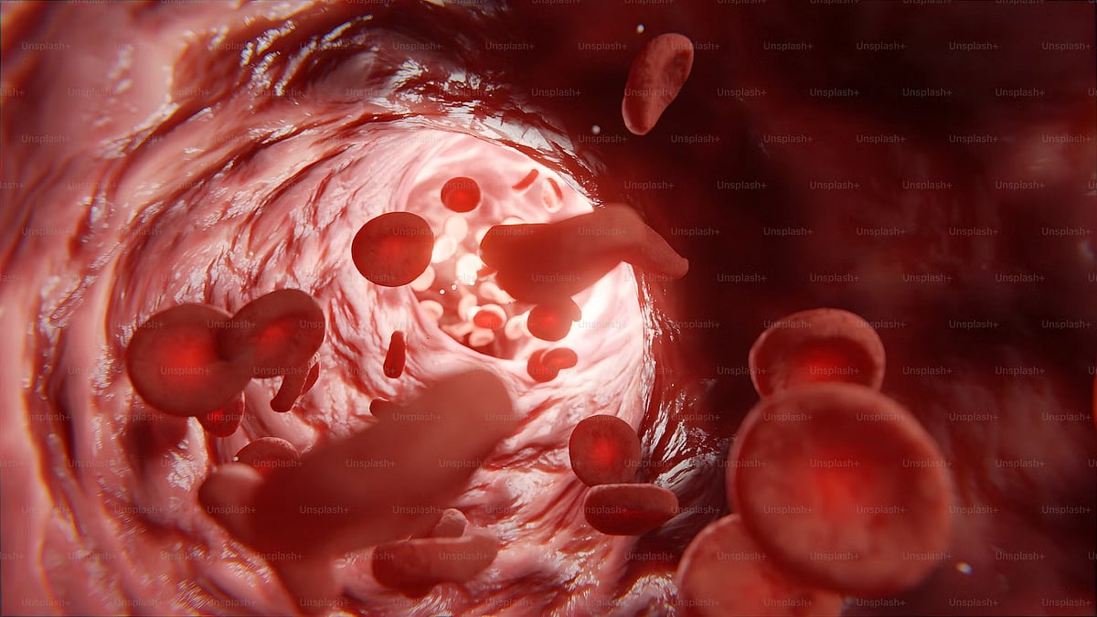 Sickle Cell Disease: A Deadly Disease That Deserves More Attention