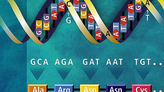 The End of Genes: Routine Test Reveals Unique Divergence in Genetic Code