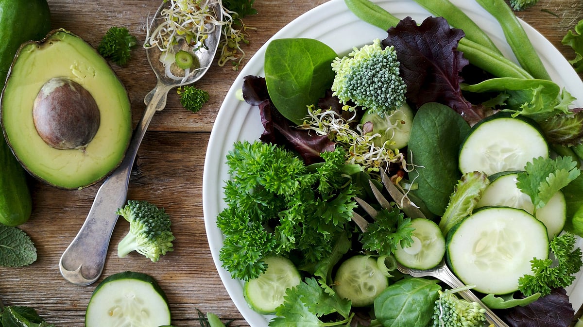 Vegan Diet Fosters Changes in Gut Microbiome that Reduce Hot Flashes by ...