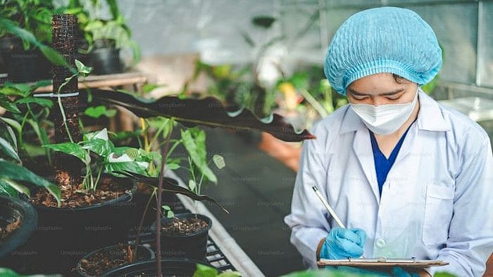 Scientists Harness Flower “Super Power” To Pave The Way For New Drug ...