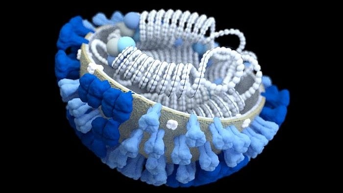 What Proteins Can Tell Us About Our Health