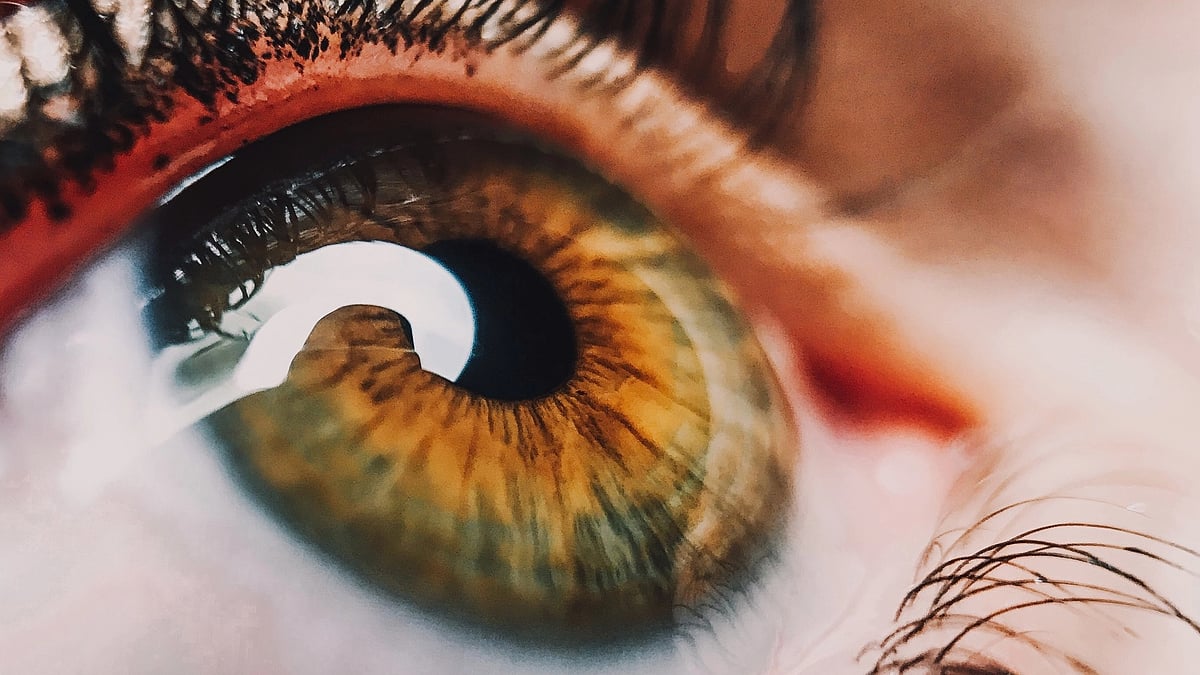 Surgeons in New York Perform World's First Eye Transplant, Offering ...