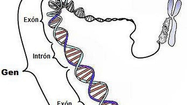 New Assay Identifies Clinically Relevant Gene Fusions in Pediatric Tumors