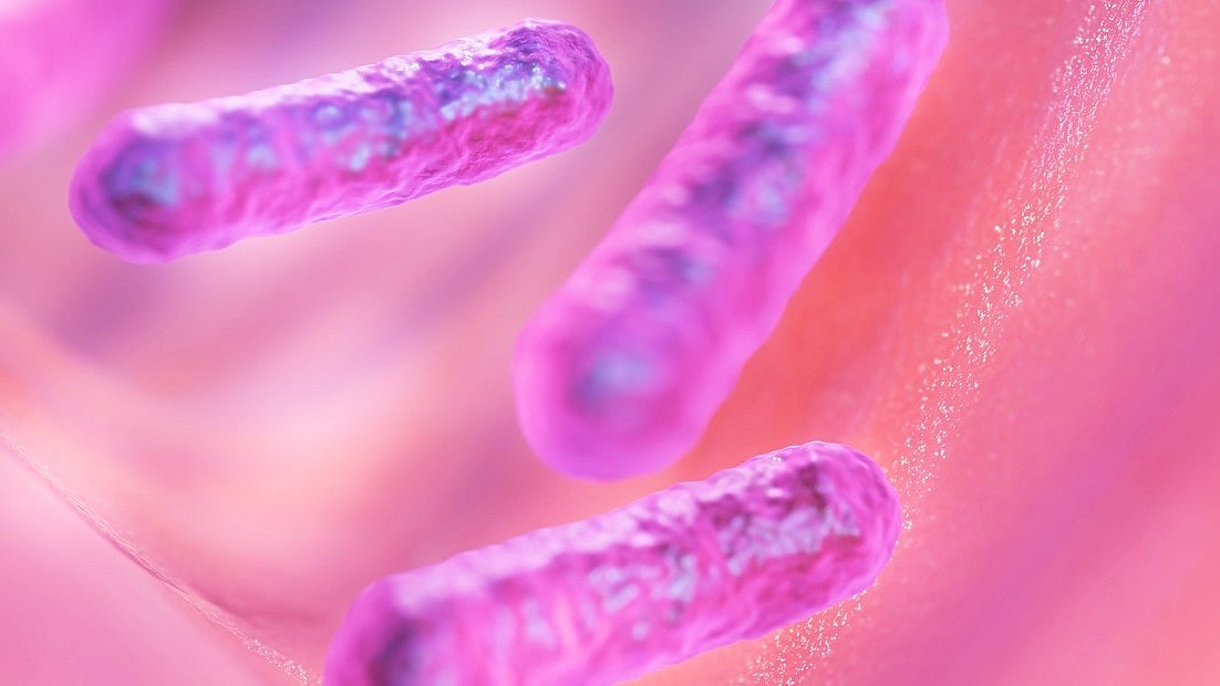 Lancet Study Reveals Preventable Deaths Linked to Antimicrobial ...