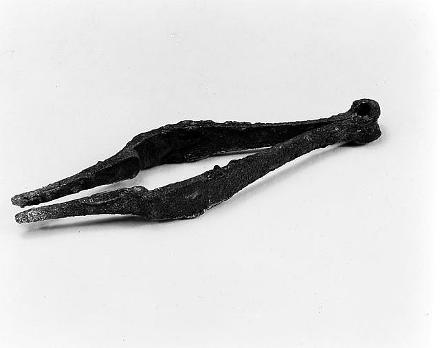 Tooth Worms: Myth or Reality? Unveiling the History of Dental Folklore ...