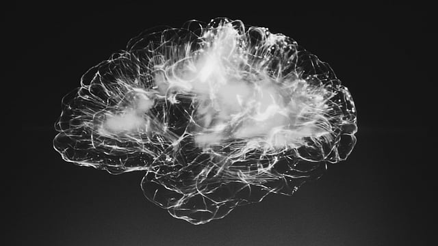 The Science Behind Manifestation: Insights from Neuroscience
