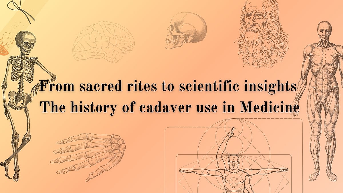 From Sacred Rites to Scientific Insights: History of Cadaver Use in ...