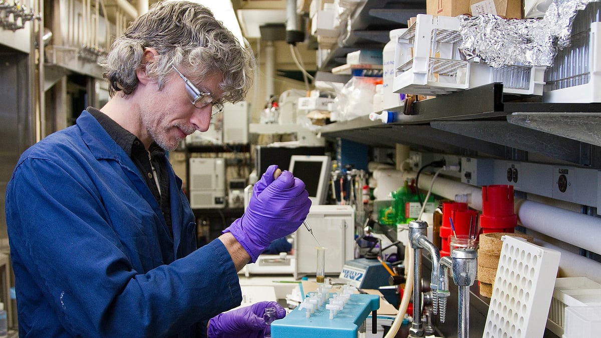 New Zealand Eases Gene Editing Regulations, Paving the Way for Easier ...