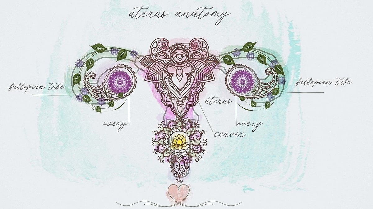 Busting Periods Myths: Menstruation Misconception