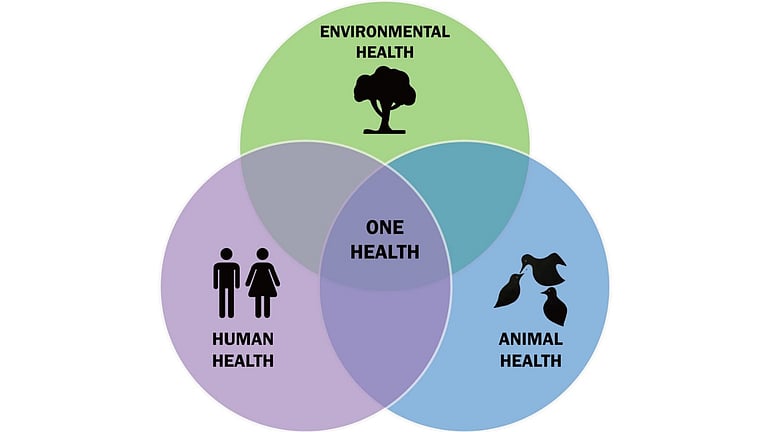 VISHANU YUDDH ABHYAS: National One Health Mission Conducts Mock Drill ...